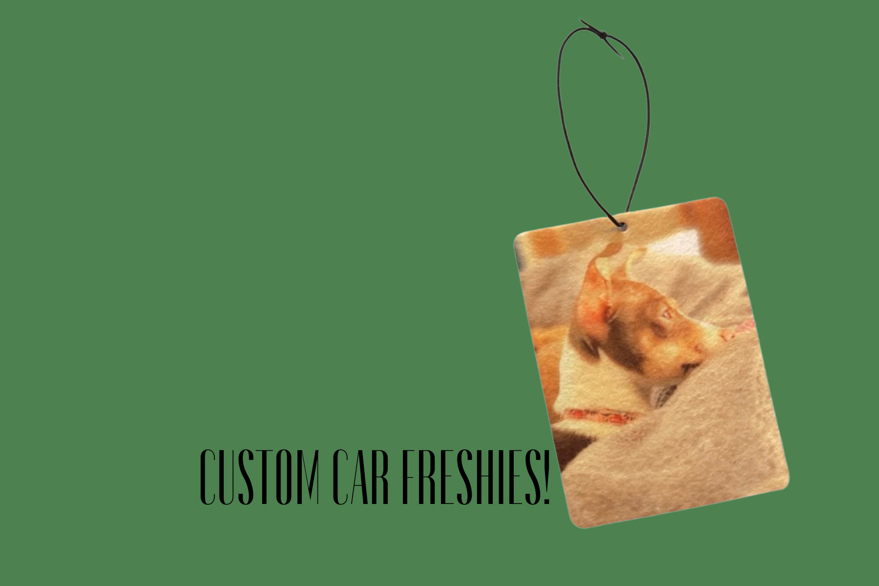 Custom Car Freshies – Tumblin' South